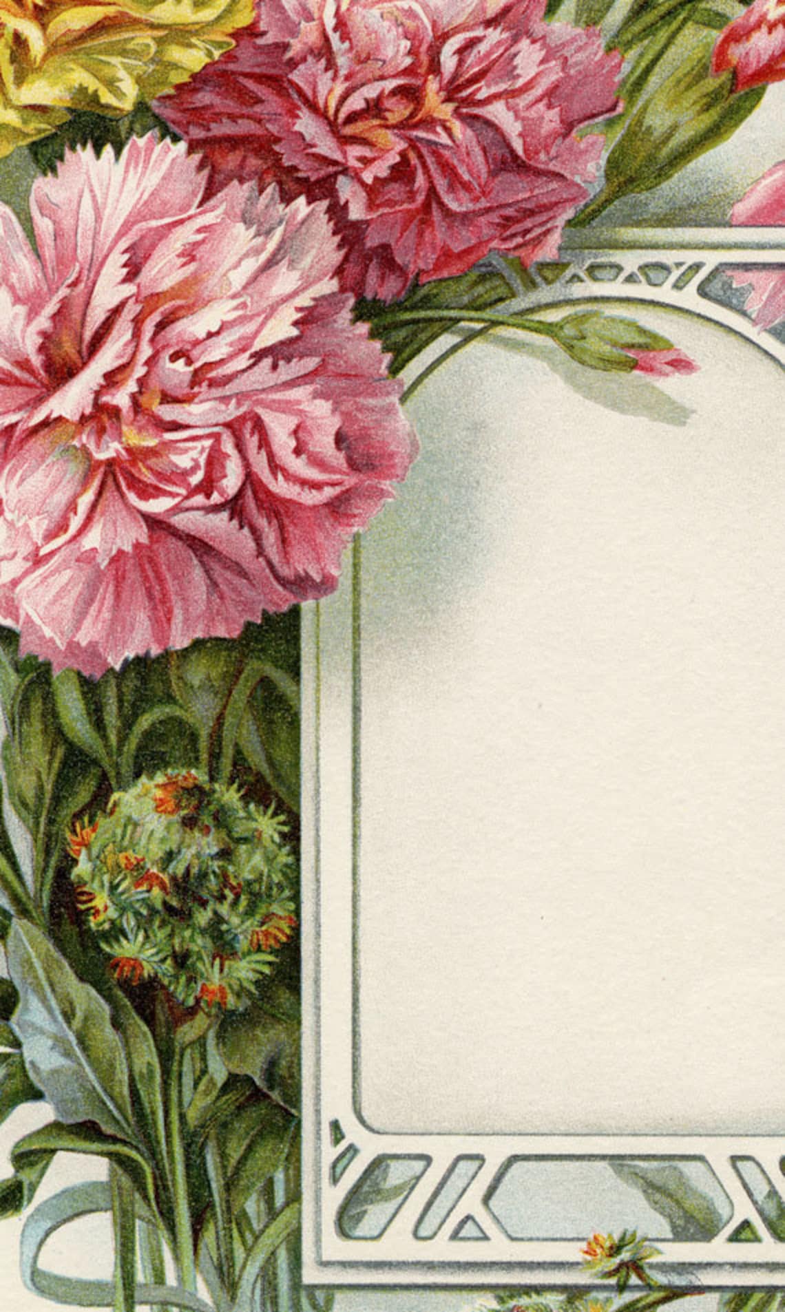 CARNATION Flowers Border DIGITAL Download from Vintage Image | Etsy