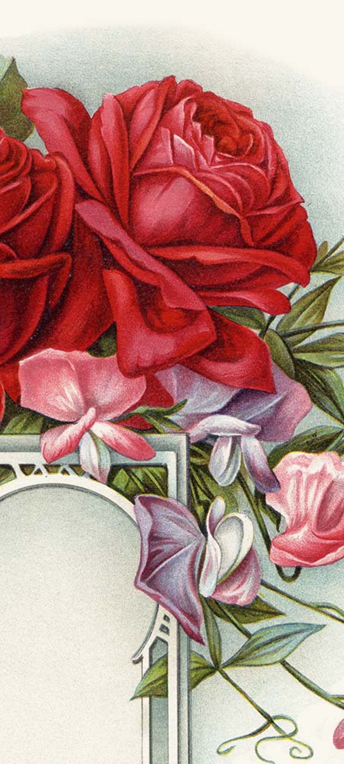 RED ROSE Border Blank Printable DIGITAL Download Add Your Own Text for ...