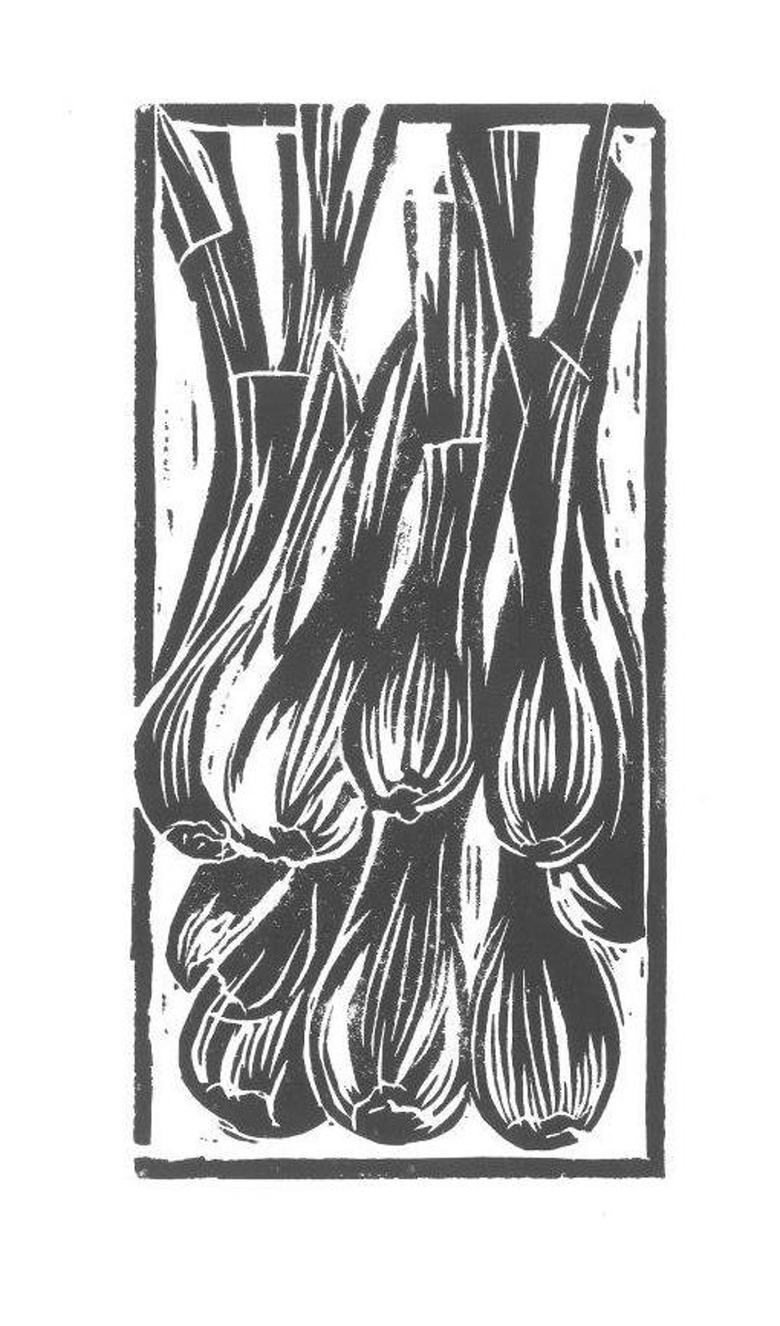 Spring Onions: food theme lino cut prints available in black | Etsy
