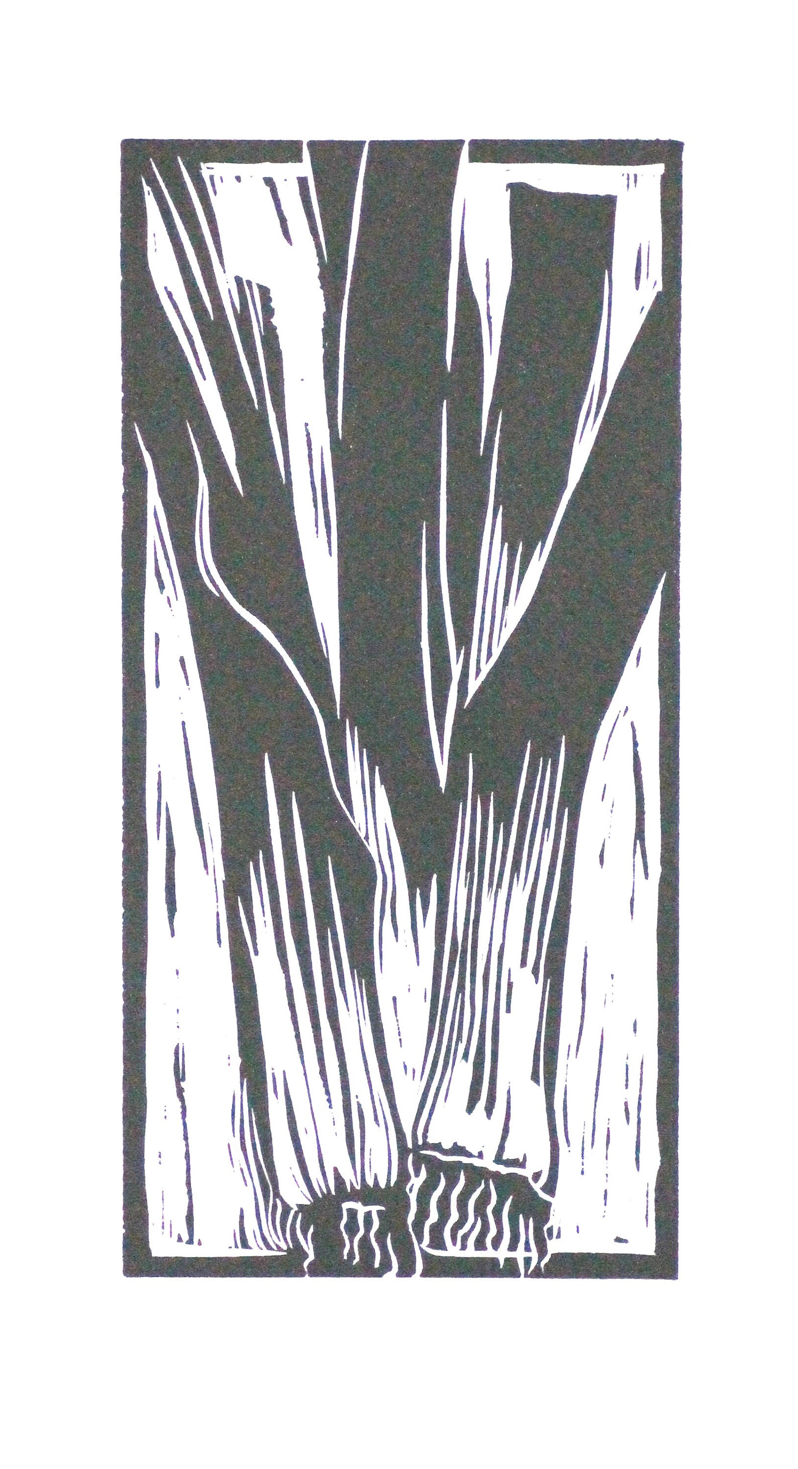 Onions: Food Theme Lino Cut Prints, Available in Black and White, or ...