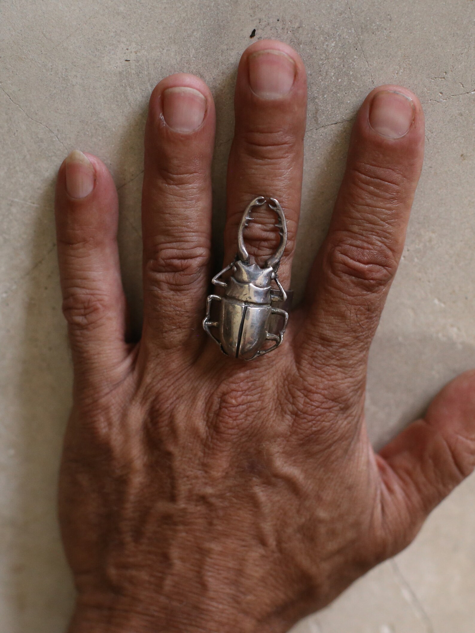 Staghorn Beetle Ring. Silver Bug Ring. Scarab Ring. Dung Beetle - Etsy
