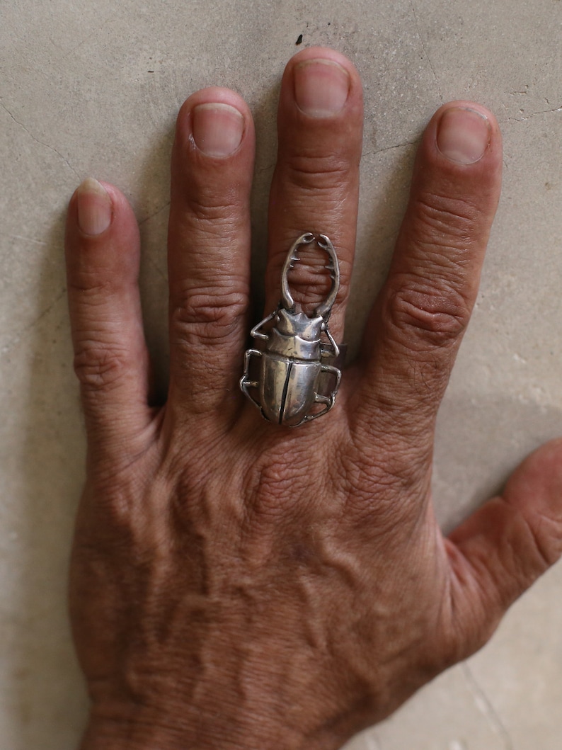 Staghorn Beetle Ring. Silver Bug Ring. Scarab Ring. Dung Beetle - Etsy