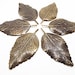 Large Bronze Leaf Pendants 65mm Leaf Embellishments Pack of - Etsy