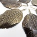 Large Bronze Leaf Pendants 65mm Leaf Embellishments Pack of - Etsy