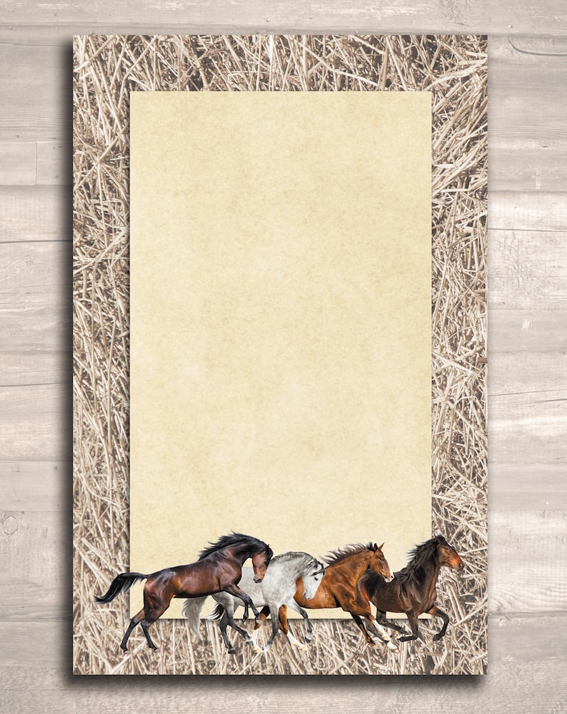 Horse Lover's Notepad/Stationery Set: Three 50-Sheet Pads | Etsy