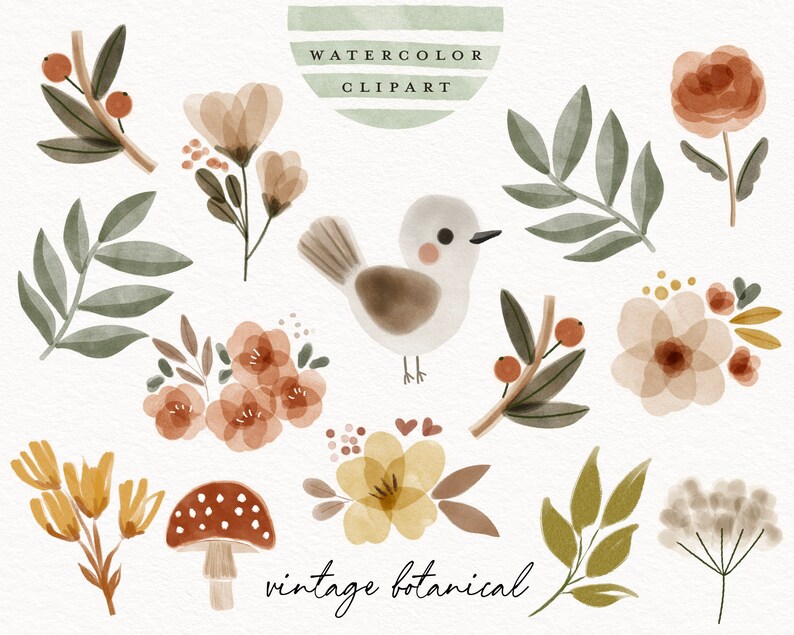 Watercolor Bird Clipart Boho Botanical Hand Painted Kids | Etsy