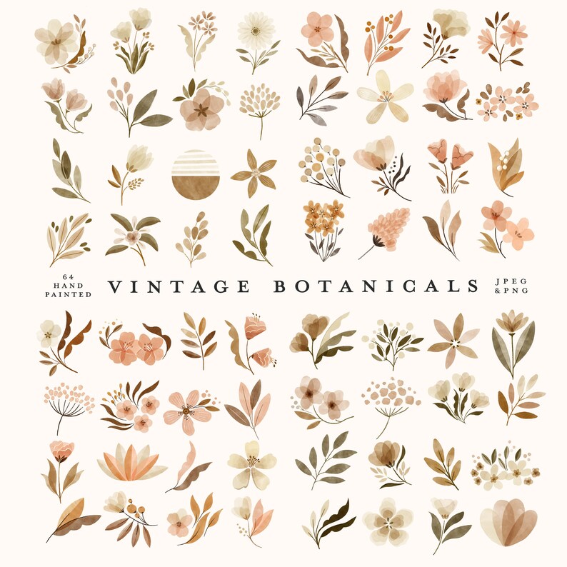 Watercolor Flower Clipart - Boho Hand Painted Florals - Elegant Vintage ...