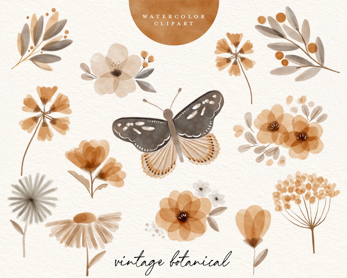 Butterfly Watercolor Clipart Vintage Botanical Boho Hand | Etsy