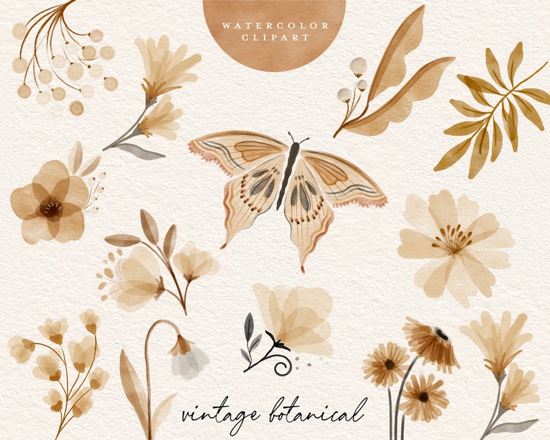 Butterfly Moth Watercolor Clipart Vintage Botanical Boho Hand - Etsy