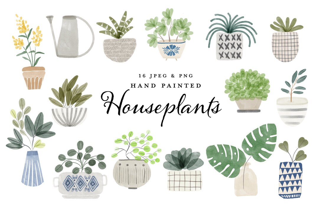 Boho Watercolor Clipart Hand Drawn Painted Potted Houseplants Green ...