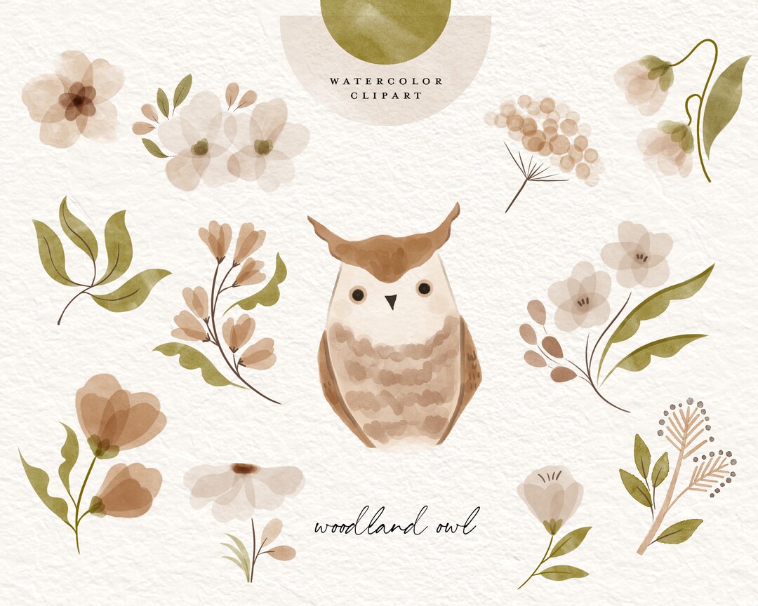 Watercolor Owl Clipart - Boho Hand Painted Cute Woodland Animal ...