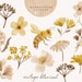 Bee Watercolor Clipart Vintage Botanical Boho Hand Painted Kids Nursery ...