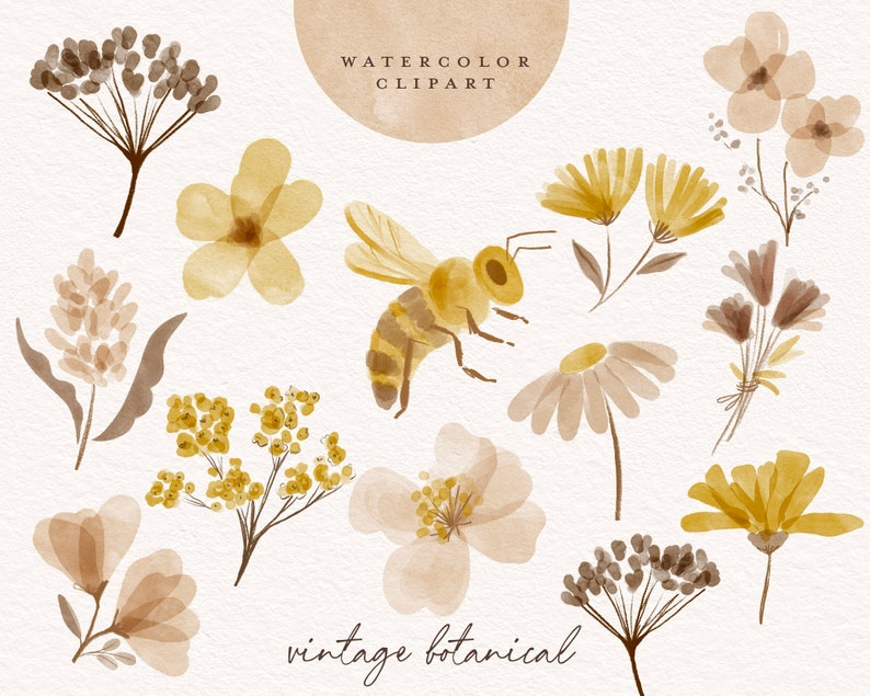 Bee Watercolor Clipart Vintage Botanical Boho Hand Painted - Etsy