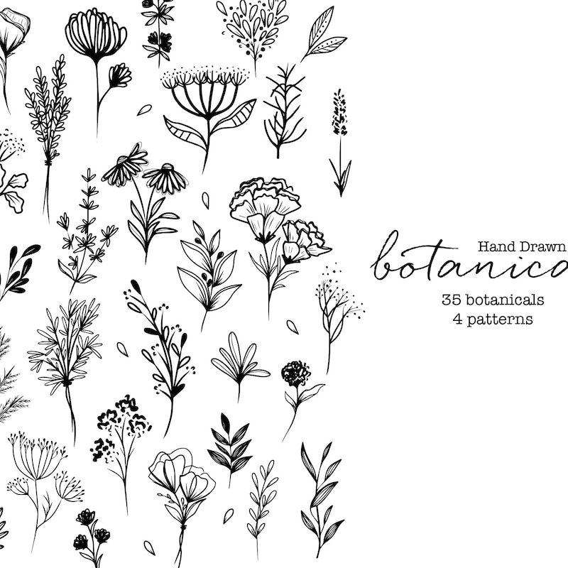 Botanical Clip Art - Etsy