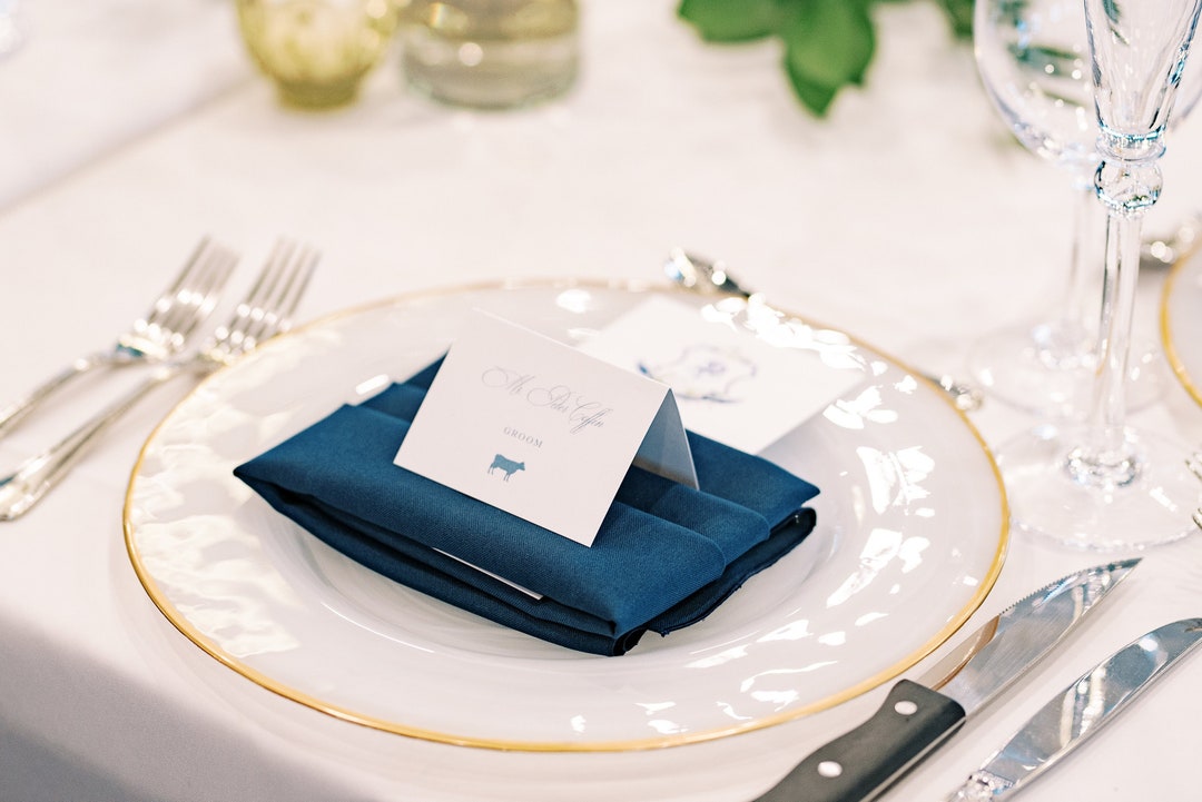 Tented Folding Place Cards / Escort Cards in Dusty Blue and Guest Meal ...
