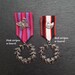 NOVELTY MEDALS Honour Badge Costume Fun AWARD Merit Reward Trophy ...