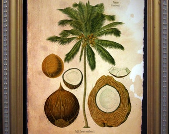 Coconut tree art | Etsy