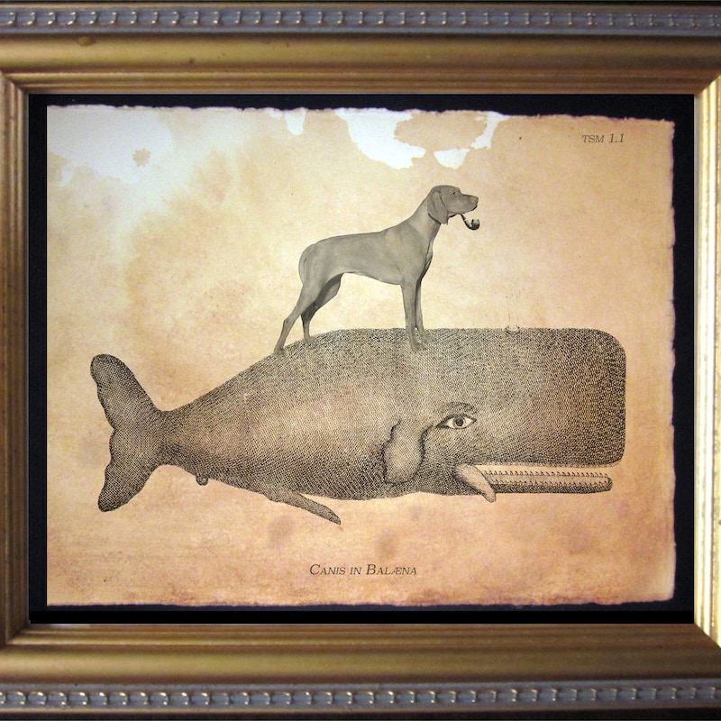 Vintage Vizsla Wall Art - Etsy