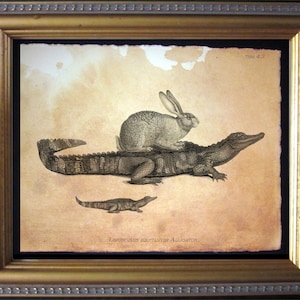 Bunny Rabbit Riding Alligator Vintage Collage Art Print on Tea Stained ...