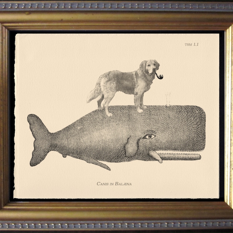 Field Retriever Art - Etsy