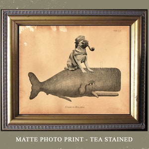 Cat Riding Whale Abyssinian Cat Riding Whale Vintage Collage Print Tea ...