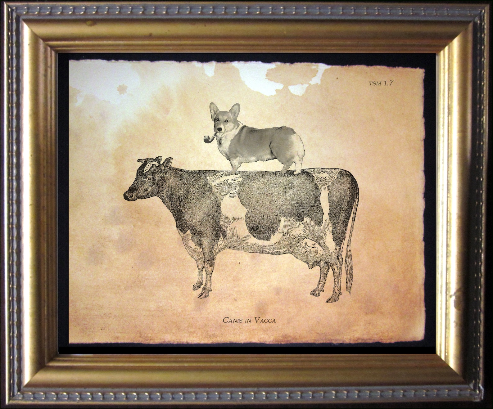 Welsh Corgi Dog Riding Cow Print Tea Stain Dog Art Dog Gifts - Etsy