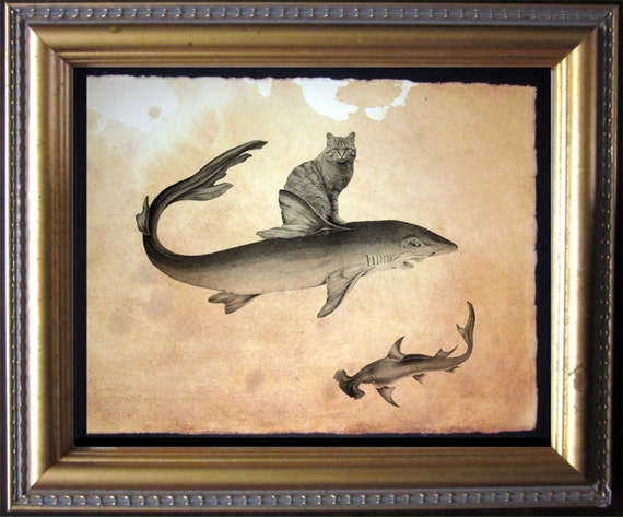 Cat Riding Shark Wildcat Felis Silvestris Riding Shark Collage - Etsy