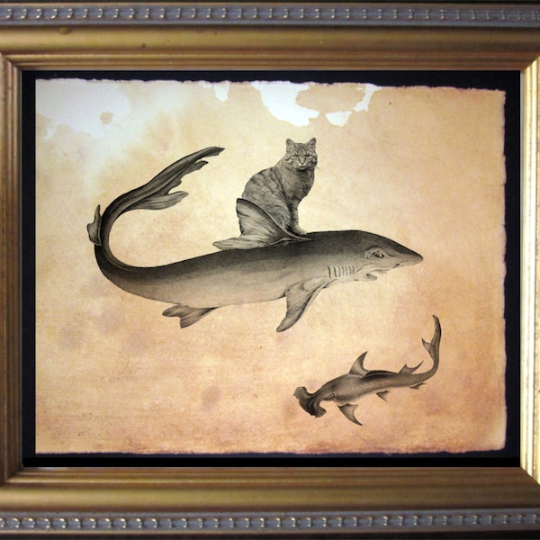 Cat Riding a Shark - Etsy