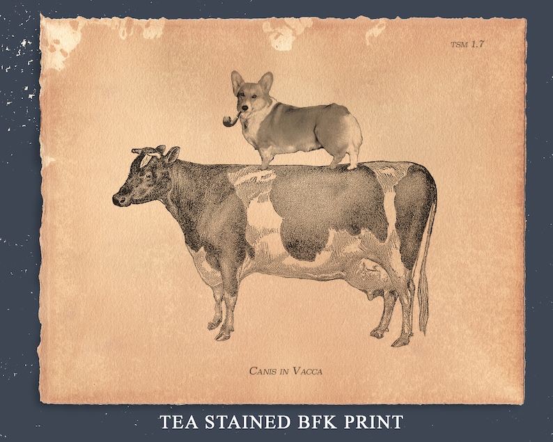 Welsh Corgi Dog Riding Cow Print Tea Stain Dog Art Dog Gifts - Etsy