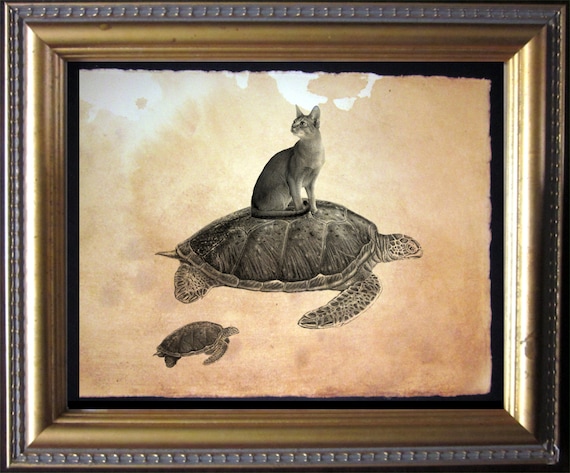 Cat Riding Turtle Abyssinian Cat Riding Sea Turtle Vintage - Etsy España