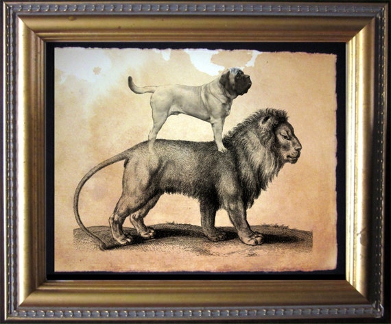 English Mastiff Dog Riding Lion Vintage Collage Art Print on | Etsy