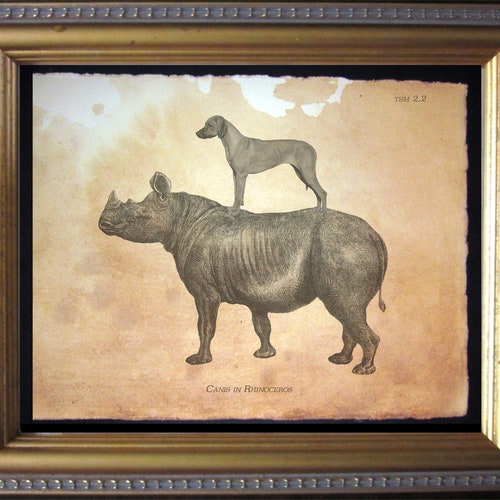 Rhodesian Ridgeback Dog Riding Whale Vintage Collage Print Tea - Etsy