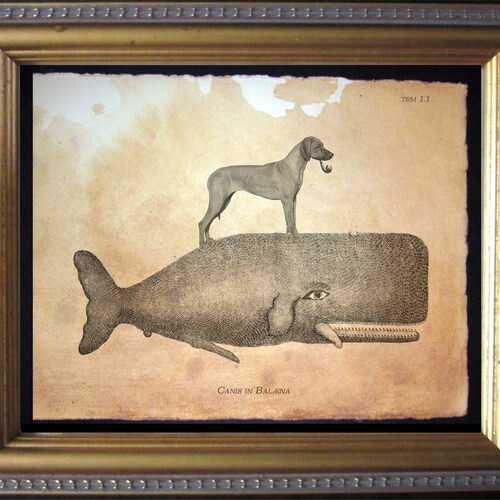 Rhodesian Ridgeback Dog Riding Whale Vintage Collage Print Tea - Etsy