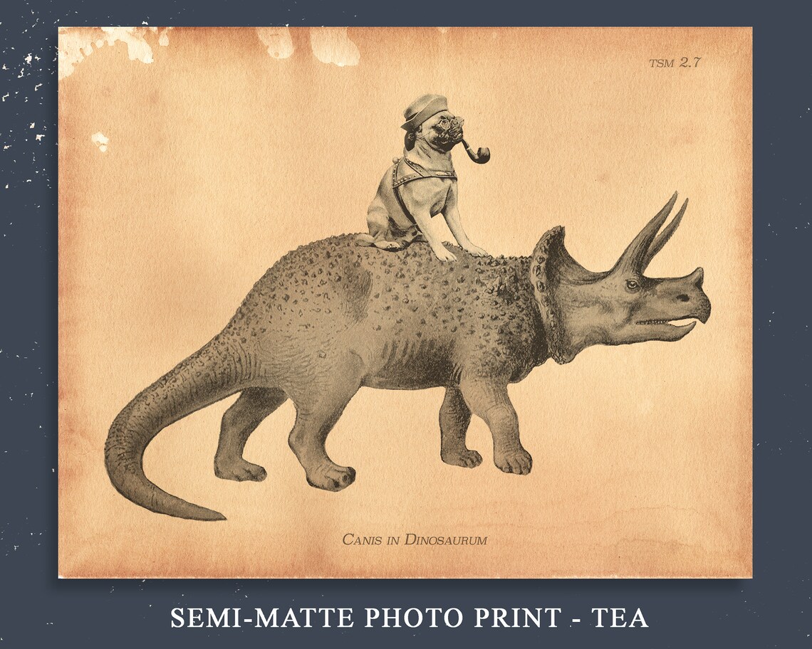 Pug Riding Triceratops Dinosaur Vintage Collage Print Tea - Etsy