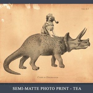 Pug Riding Triceratops Dinosaur Vintage Collage Print Tea Stain Dog Art ...