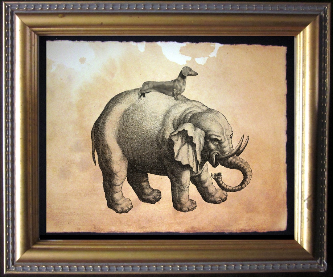 Dachshund Wiener Dog Riding Elephant Vintage Collage Art Print on Tea ...