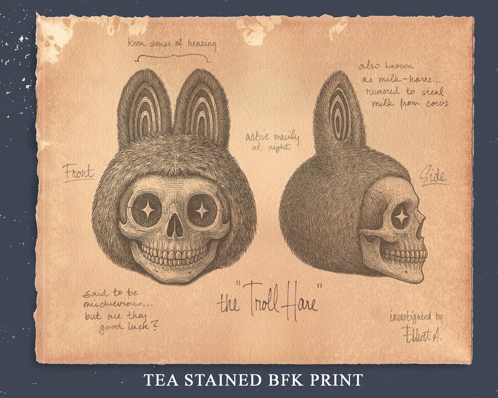 Troll Hare Anatomy Art Print | Nordic Folklore Inspired Creature ...