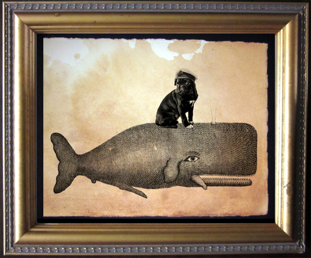 Black Pug With Captain's Hat Riding Whale Vintage Collage Art Print on ...