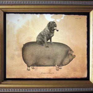 Brindle English Mastiff Dog Riding Pig Vintage Collage Print on Tea ...