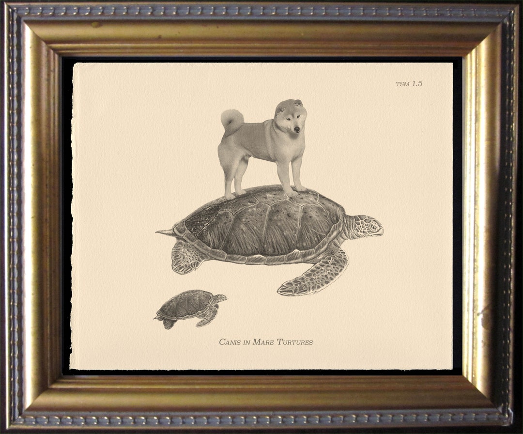 Shiba Inu Dog Riding Turtle Vintage Collage Print Dog Art Gifts Dog ...