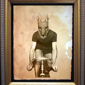 Kangaroo on a Bike Kangaroo Cyclist Tour De Kangaroo Vintage Collage ...