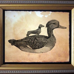 Dachshund Wiener Dog Riding Duck Vintage Collage Art Print on Tea ...