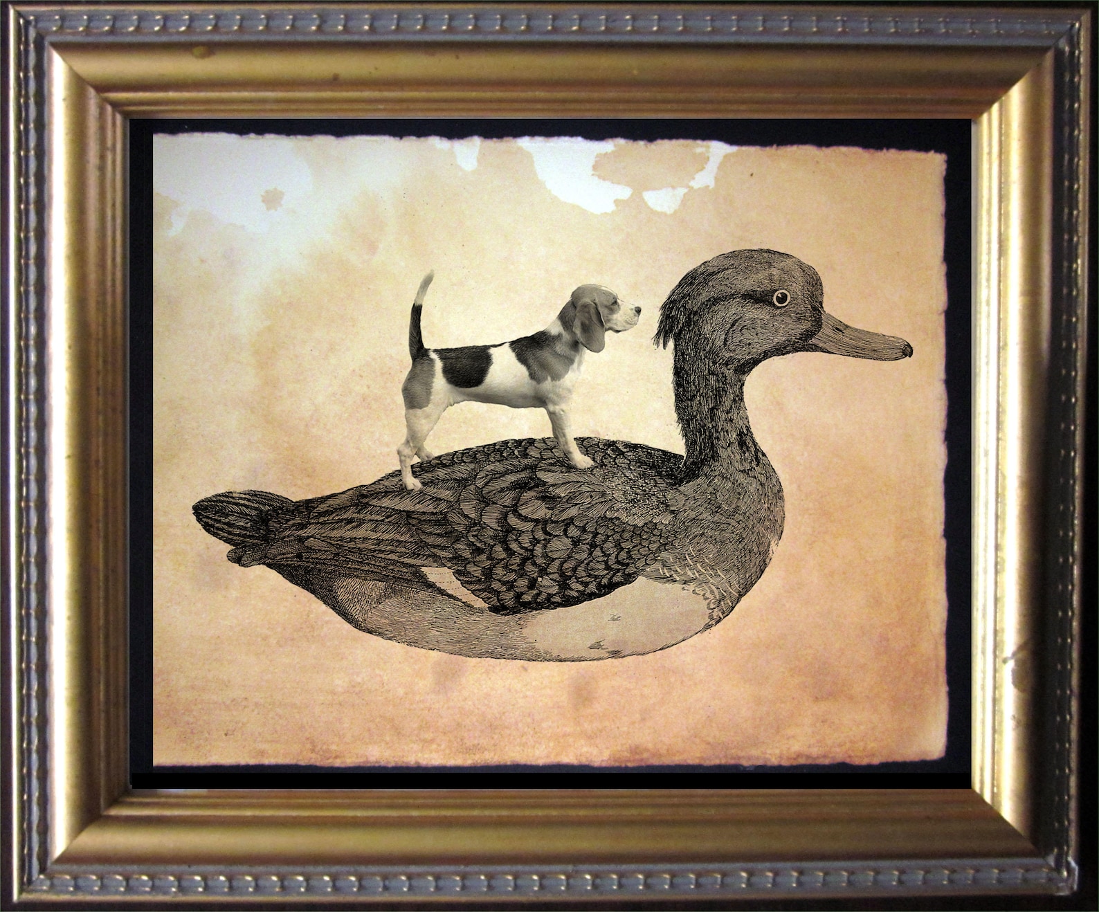 Beagle Dog Riding Duck Duck Hunt Vintage Collage Art Print on | Etsy