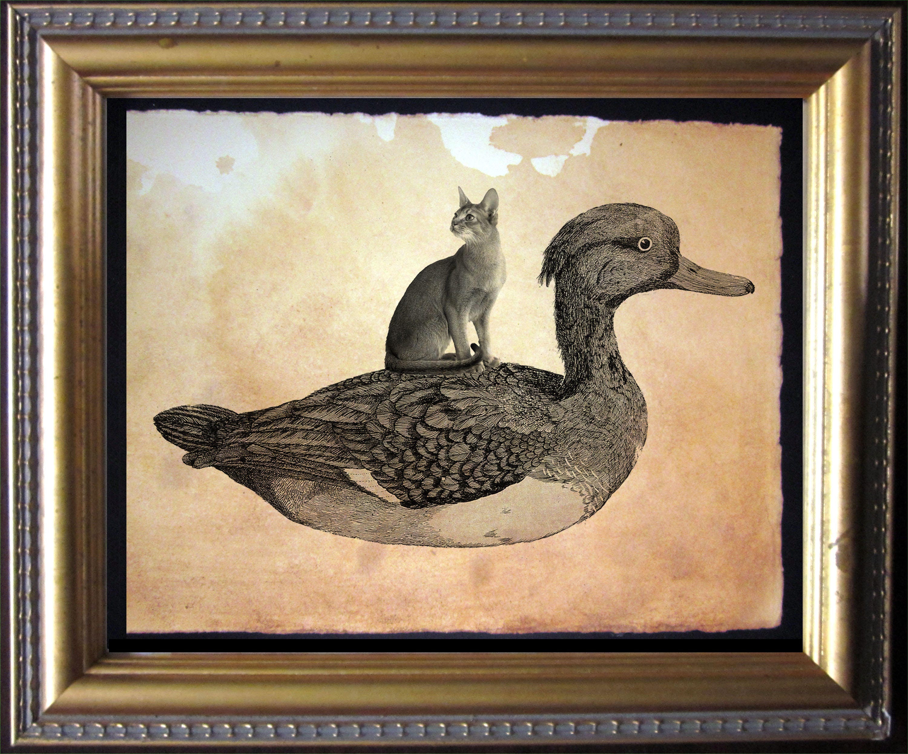 Cat Riding Duck Abyssinian Cat Riding Duck Vintage Collage | Etsy
