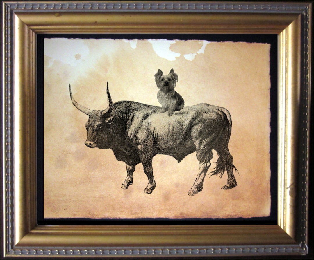 Yorkshire Terrier Yorkie Riding Bull Vintage Collage Art Print on Tea ...