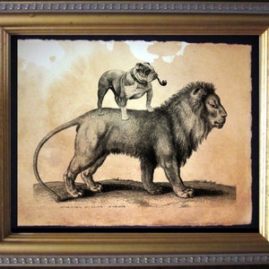 English Bulldog Riding Lion Vintage Collage Art Print on Tea Stained ...
