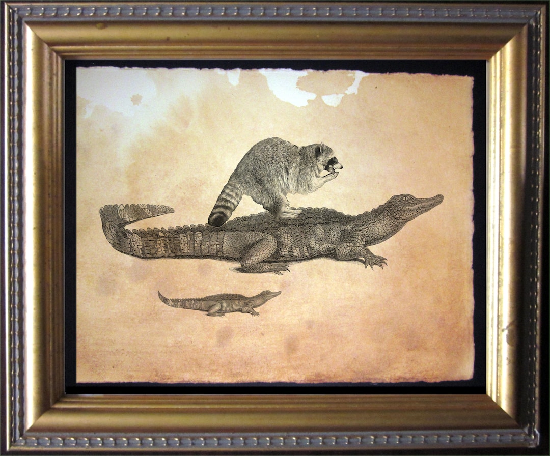 Raccoon Riding Alligator Collage Art Print Tea Stained Paper Raccoon ...