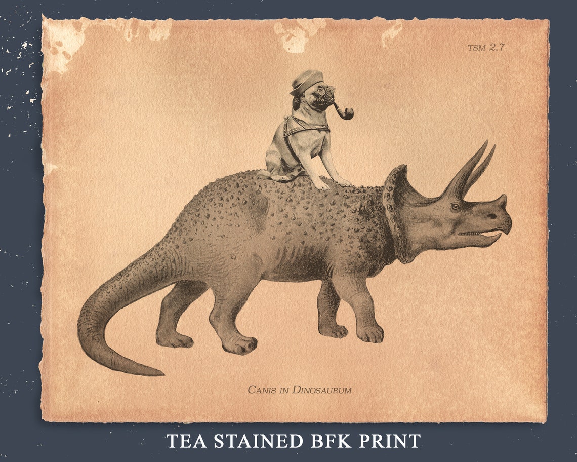 Pug Riding Triceratops Dinosaur Vintage Collage Print Tea - Etsy