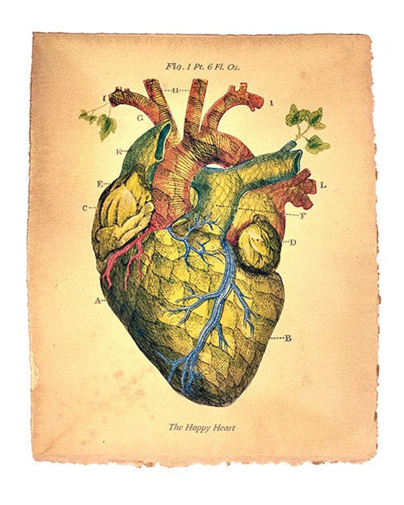 The Hoppy Heart Print Vintage Heart Beer Hops Collage Art Print Tea ...