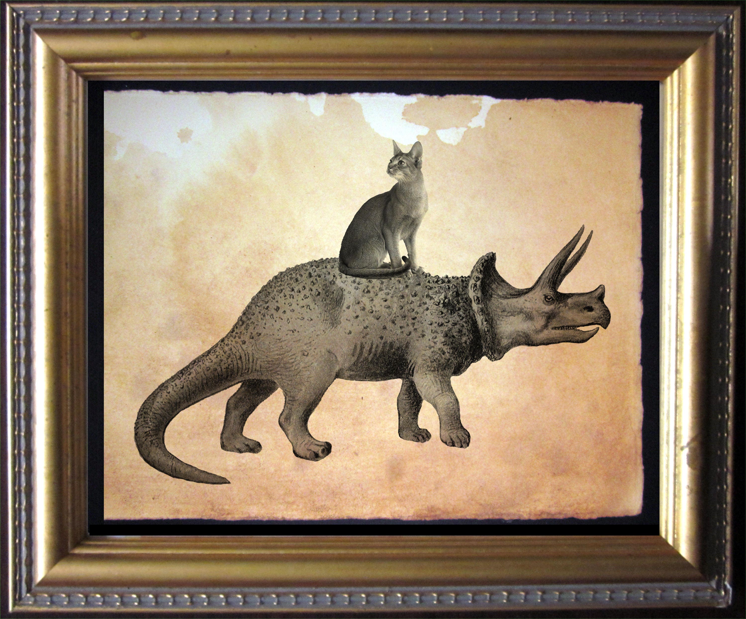 Cat Riding Dinosaur Abyssinian Cat Riding Triceratops Vintage - Etsy España